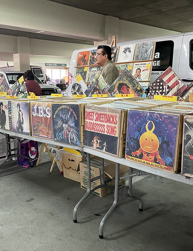 Vinyl junkies, rejoice! This record vendor's collection spans decades of musical history, from classic rock albums to forgotten one-hit wonders waiting for rediscovery.