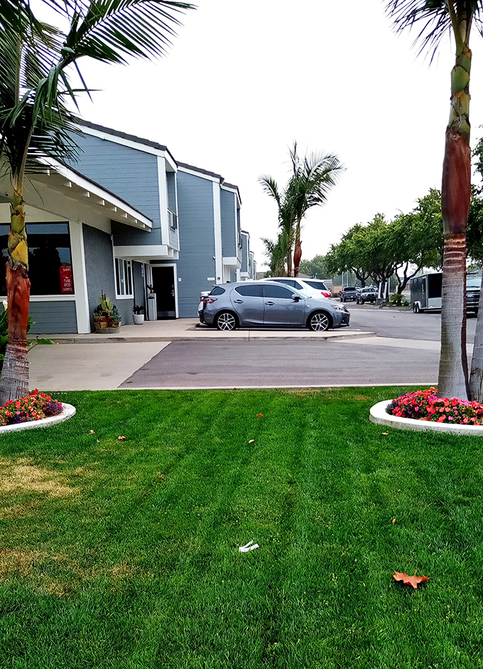 Well-maintained landscaping welcomes visitors to this Lompoc apartment complex, where palm trees and flower beds say "California living" without the coastal price tag.