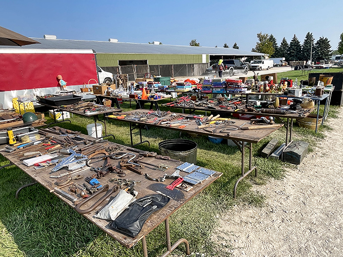 Tool enthusiast's dream: Rusty gold spreads across tables where craftsmen of yesteryear would recognize every wrench, plane, and implement waiting for a second life.