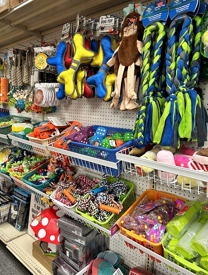 Dog toys that won't break the bank! Your four-legged friend never needs to know their new monkey cost less than your morning latte.