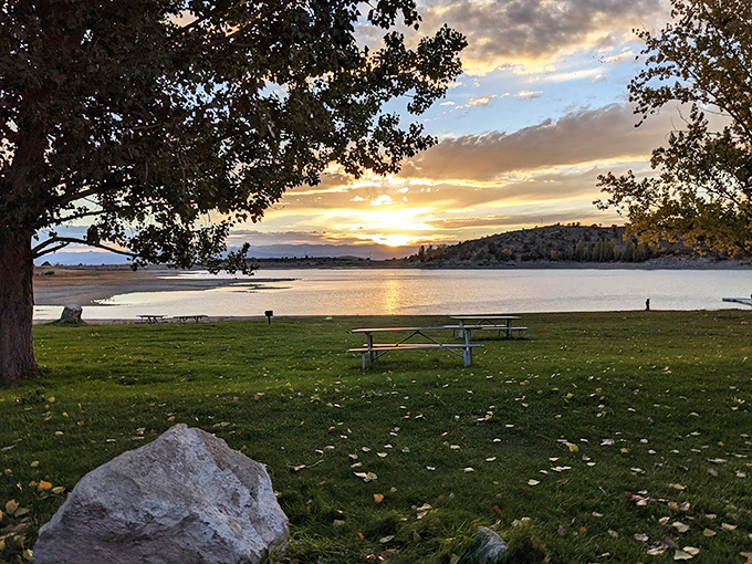 Golden hour transforms this ordinary picnic spot into something from a Terrence Malick film. Tree shadows and lake reflections included at no extra charge.
