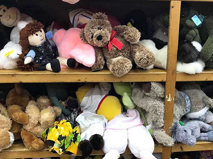 Stuffed animal adoption center where forgotten teddy bears and plush pals wait patiently for their second chance at being loved.