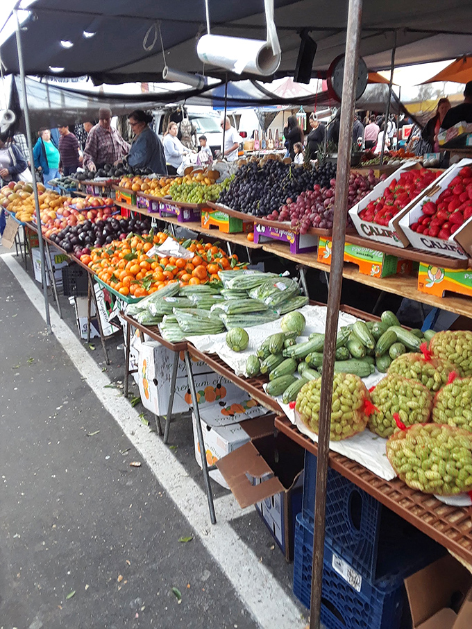 Nature's color palette on full display! This produce stand offers farm-fresh ingredients that would make any home chef's heart skip a beat.