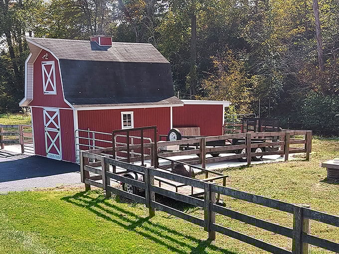 Not far from the bridge, rural Maryland reveals its classic charm with red barns that echo the bridge's vibrant hue.