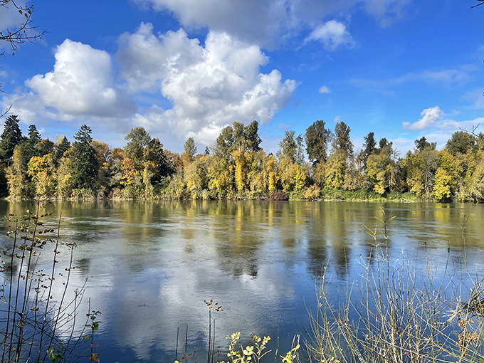 Autumn paints the Willamette River with golden reflections, creating a mirror world so perfect you'll wonder which side is the real Oregon.