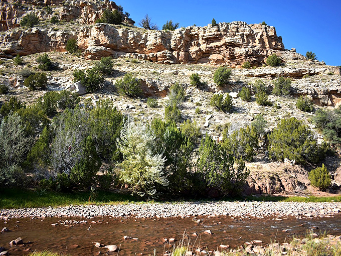 Layers of sedimentary rock stand like nature's tiered wedding cake, each stratum representing a different chapter in Earth's history.