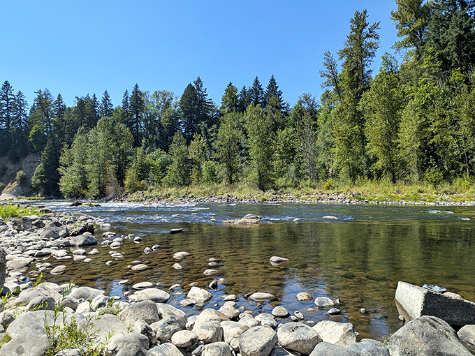 The Clackamas River doesn't just flow&mdash;it tells stories. Each stone along its banks has witnessed countless family memories in the making.