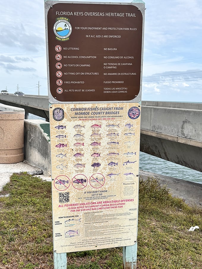 The sign that reminds you: yes, you can fish here, but no, you can't keep that one. Florida's version of "look but don't touch" for anglers.