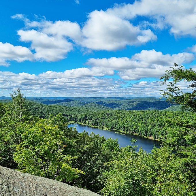 Mother Nature showing off her summer wardrobe. The kind of view that makes you forget your phone exists—until you desperately want a photo.