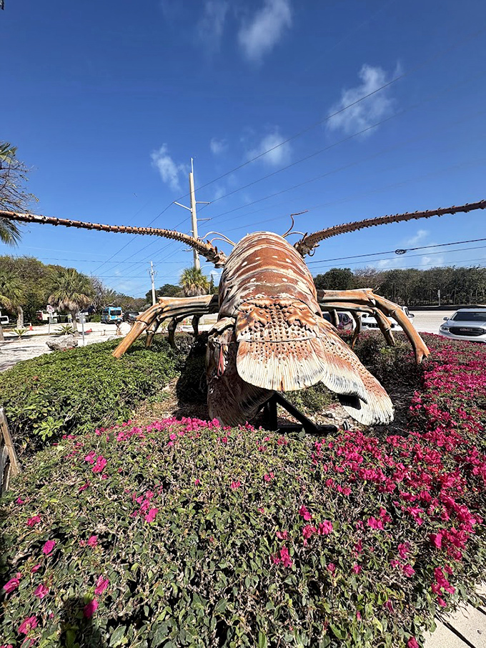 From this angle, the giant lobster looks ready to scuttle across the Overseas Highway. Those antennae could probably pick up radio signals from Cuba.