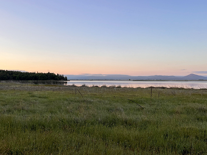 Golden hour transforms Ahjumawi's grasslands into a painter's palette &ndash; nature's version of mood lighting that no filter could improve.