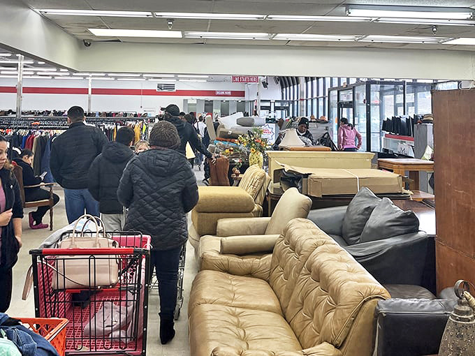 Treasure hunters in their natural habitat, navigating the furniture frontier. That leather sofa might just be someone's next family heirloom. 