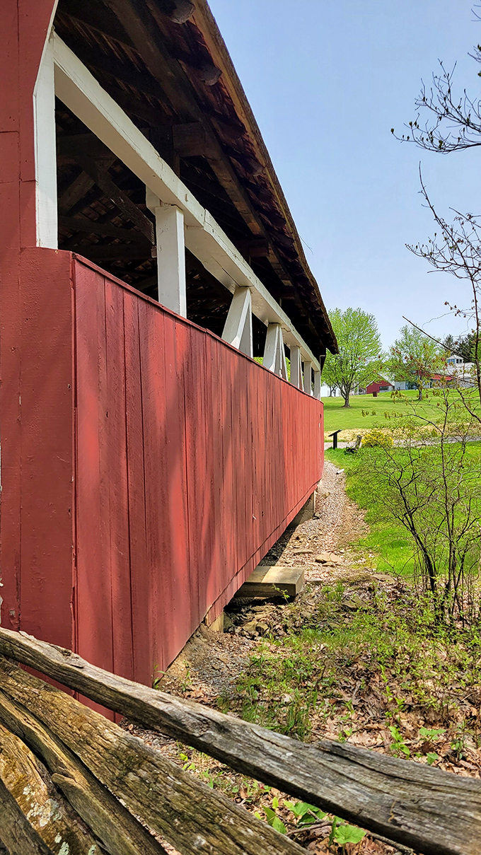 Every weathered board tells its own story, though thankfully none of them require a three-hour director's cut to appreciate.