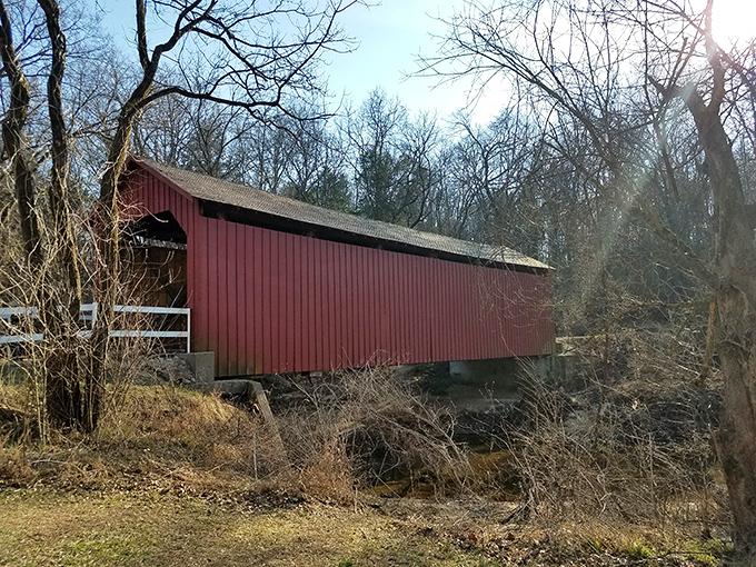 Winter reveals the bridge's striking silhouette against bare trees, proving some landmarks don't need summer's greenery to take your breath away.