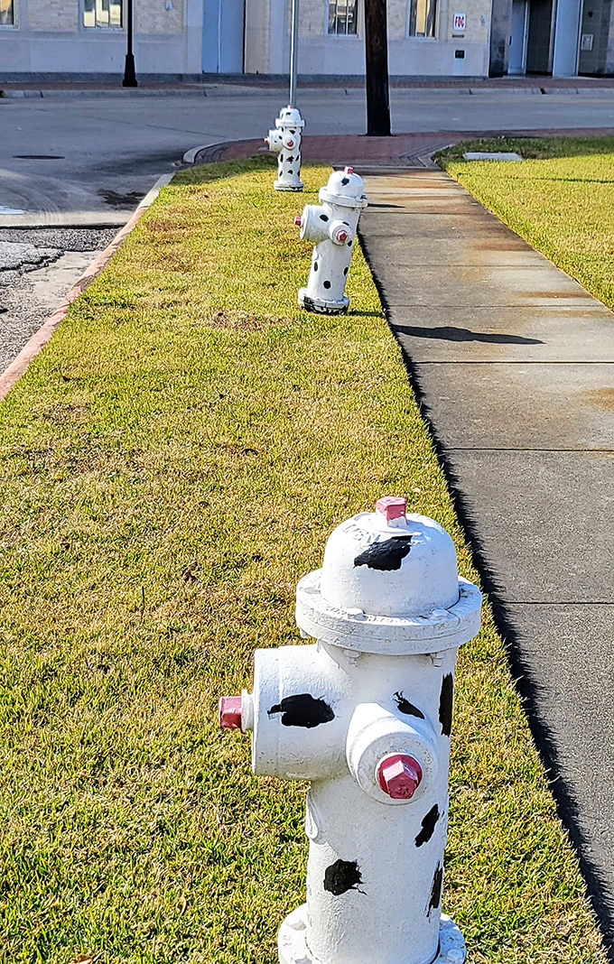 Regular-sized hydrants line the sidewalk, probably feeling a bit self-conscious about their modest proportions.
