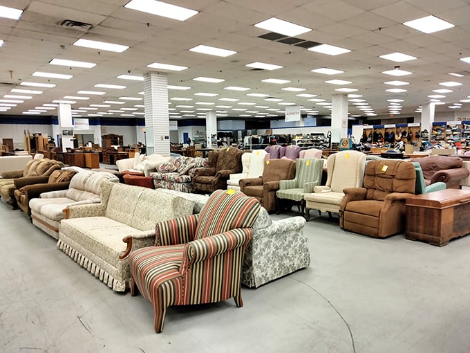 Sofa paradise! From floral patterns that whisper "classic charm" to sturdy recliners perfect for Sunday football marathons, your next conversation piece is waiting.