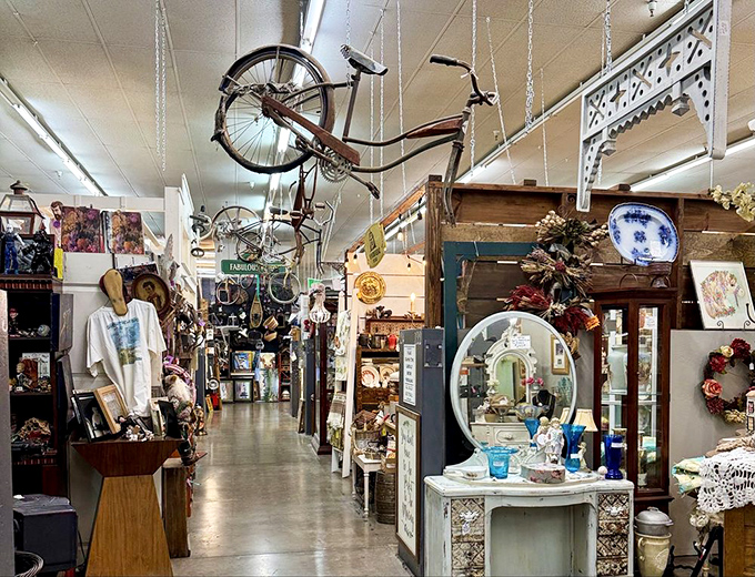 Wander down memory lane through corridors where bicycles hang from ceilings and vintage mirrors reflect decades of American design.