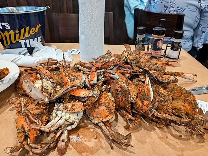 Behold the Maryland table of dreams! These steamed crabs aren't just dinner; they're an interactive experience requiring tools, technique, and paper towels.