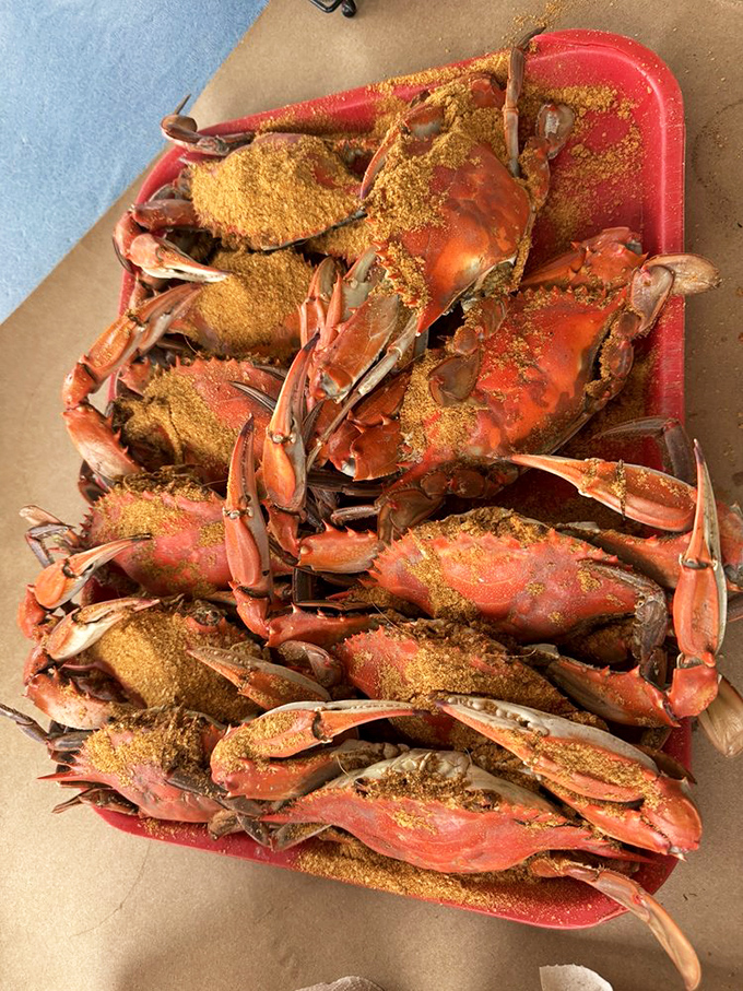 Maryland blue crabs wearing their Old Bay tuxedos&mdash;a spice-dusted spectacle that transforms your table into a delicious battlefield.