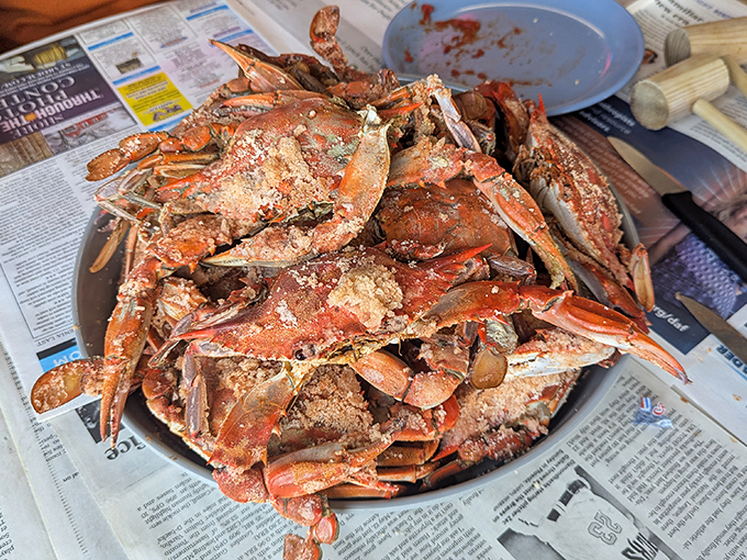 Behold the main event! Steamed crabs dusted with seasoning, ready for the delicious work of cracking, picking, and savoring every sweet morsel.
