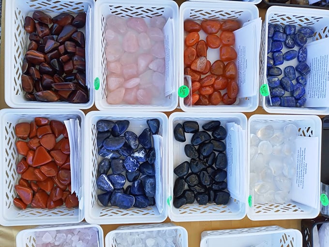 Nature's jewelry box! These polished stones might have been underfoot for millennia before finding their way to a collector's display case.