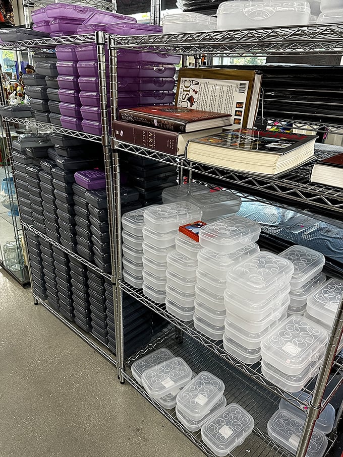 Storage container heaven! Who knew plastic organizational bins could spark such joy? Marie Kondo would either weep or applaud.
