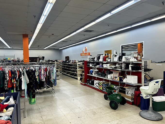 The miscellaneous section&mdash;where kitchen gadgets, sports equipment, and that thing-you-didn't-know-you-needed live in perfect harmony.