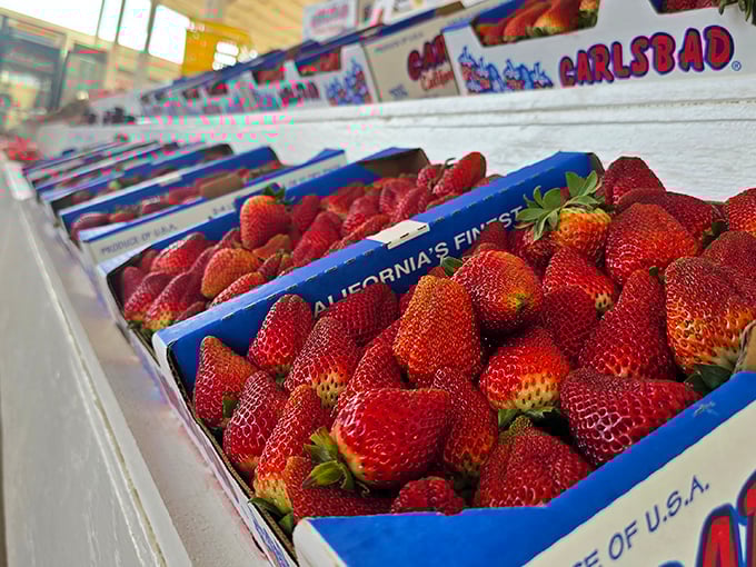 California's finest, lined up like sweet crimson soldiers in their blue cardboard barracks, ready for deployment to deserving taste buds.