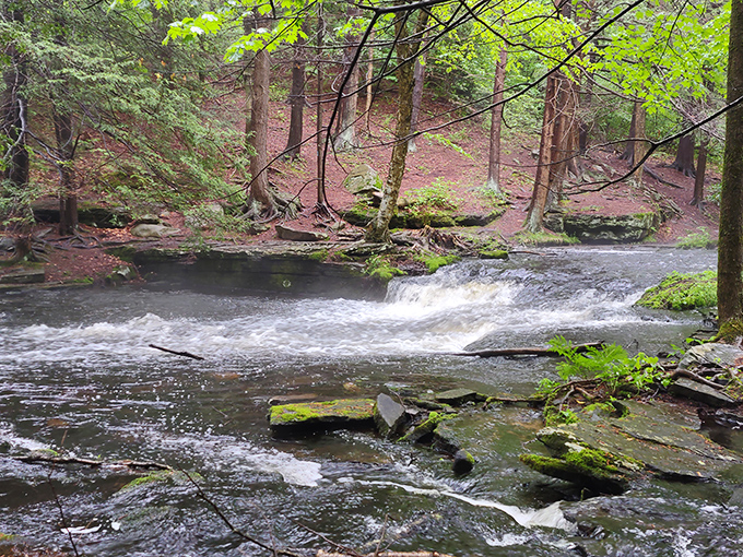 Mother Nature's spa treatment – this gentle cascade provides the kind of ambient soundtrack people pay good money for on meditation apps.