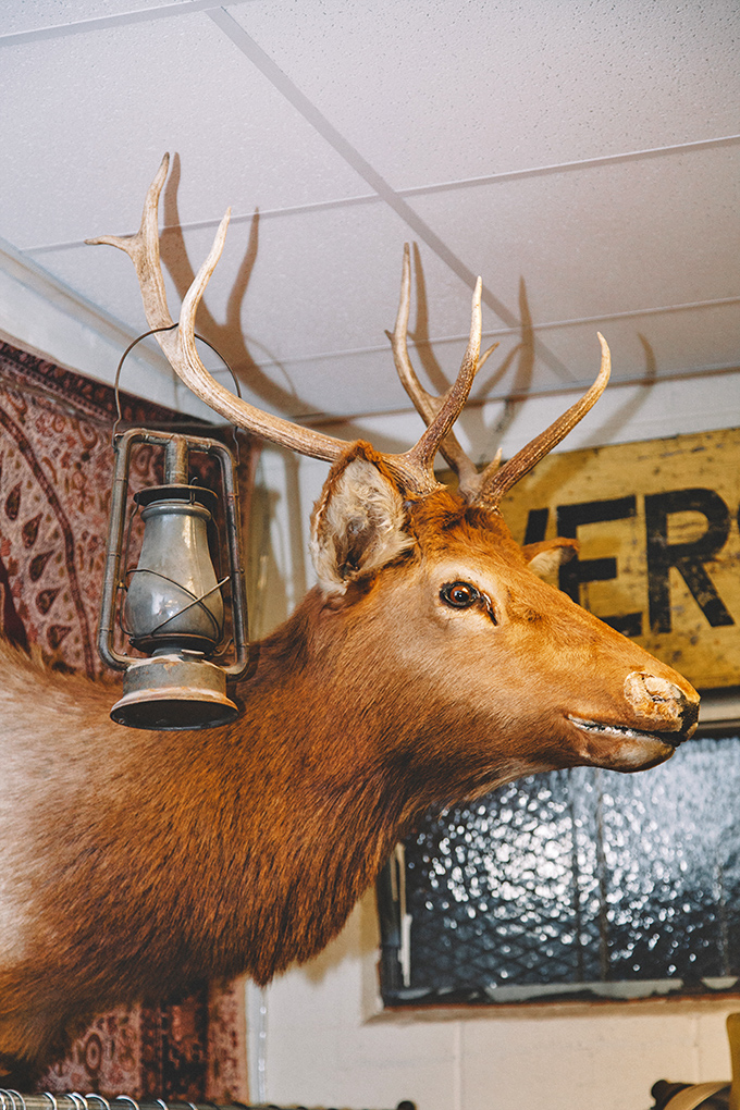 Not just decoration&mdash;this vintage taxidermy deer with lantern is the unofficial greeter, silently witnessing thousands of treasure hunters' discoveries.