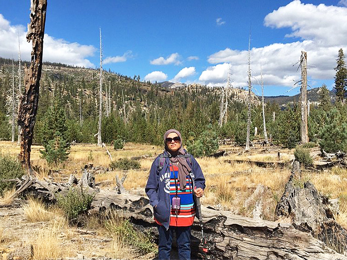 The meadows surrounding Devils Postpile offer their own quiet magic &ndash; golden grasses and sentinel pines under that impossibly blue Sierra sky.