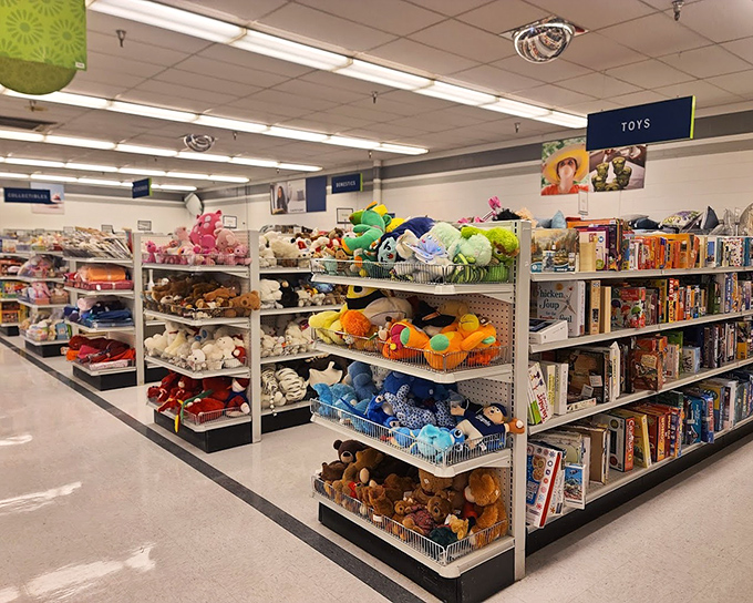 Stuffed animal paradise where forgotten teddy bears find new homes. Board games with only "most" of their pieces await your creative rule-bending.