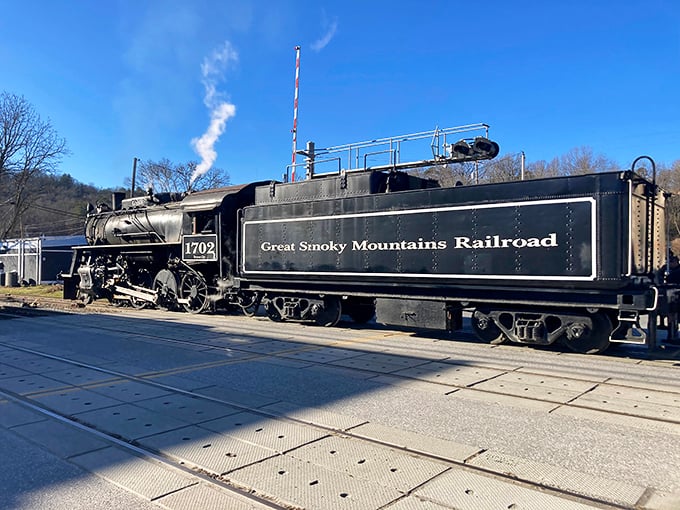 Locomotive 1702 sits ready like a patient grandfather, having earned every bit of respect it commands at the depot.