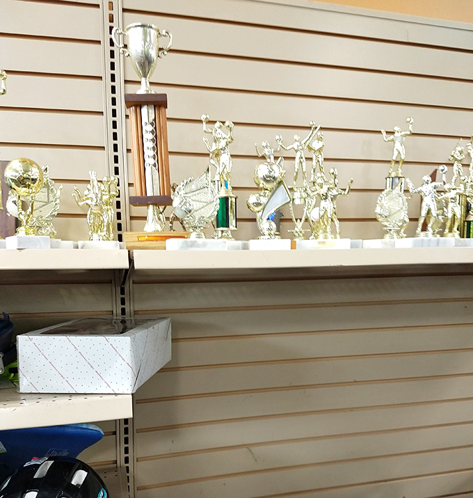 Trophy hunters rejoice! Someone's abandoned championship glory could become your quirky bookshelf conversation starter for less than a latte.