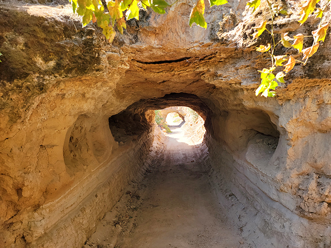 Walking through these hand-dug tunnels feels like entering a real-life adventure movie, minus the booby traps and treasure maps.