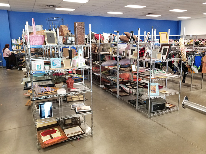 Wall-to-wall shelving creates a treasure map of home goods &ndash; each aisle a different adventure in secondhand discovery.