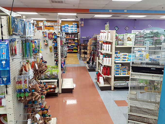 Not just any pet store&mdash;a wonderland where Fido can get everything from gourmet treats to that ridiculous holiday sweater you swore you'd never buy.