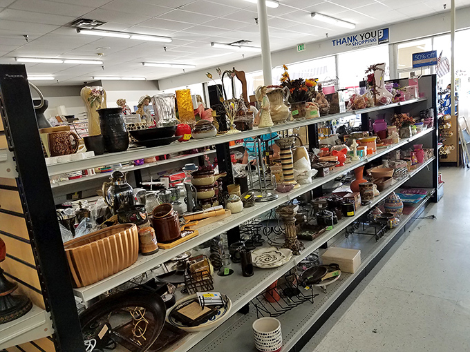 Ceramic storytellers line these shelves like characters waiting for their second act. Each vase and figurine yearns for a new windowsill to call home.