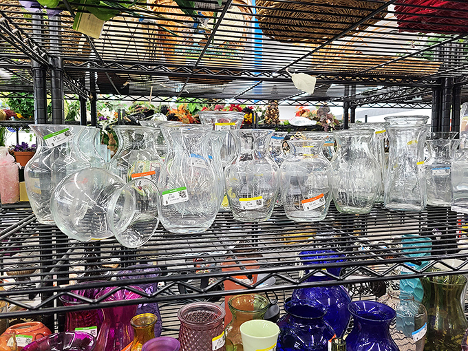 Crystal clear opportunities! These glass vases could hold tomorrow's flowers or simply catch the desert light in ways their previous owners never imagined.