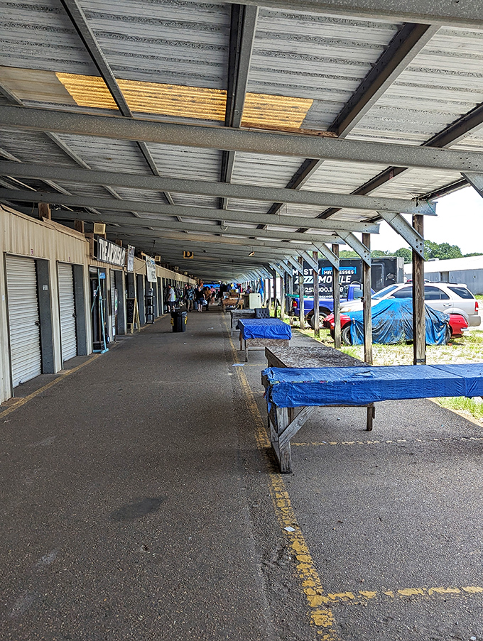 Long corridors of possibility stretch before early birds. The serious shoppers arrive when the vendors are still setting up their wares.