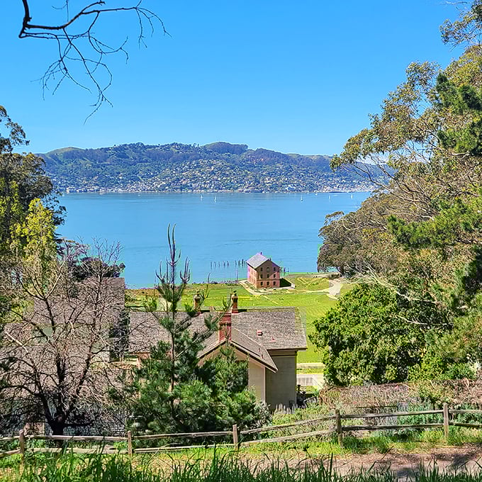 A view that makes you question why you've spent so many weekends at the mall. Historic buildings nestled among trees with the bay sparkling below like nature's own light show.