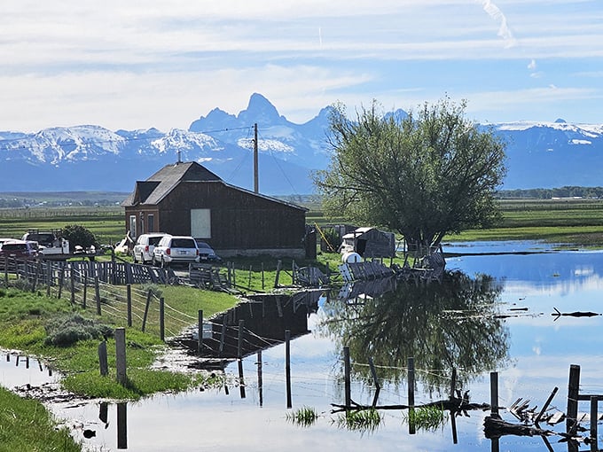 Where rustic meets majestic &ndash; a weathered barn reflects in still waters while the Tetons photobomb with their jagged perfection.
