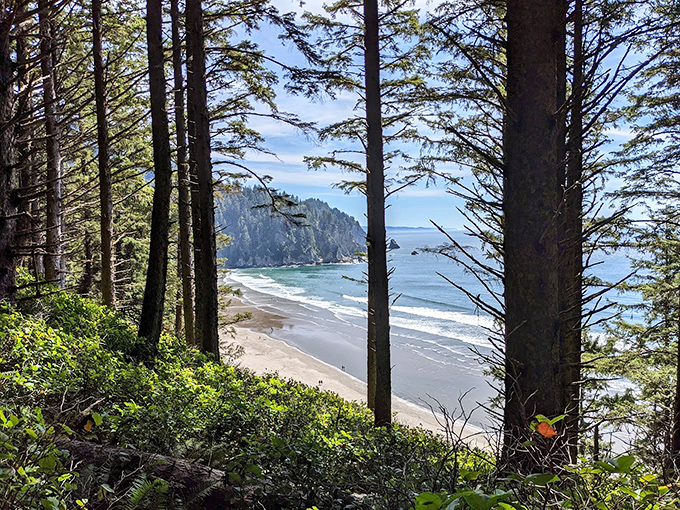 The reward for a forest hike: that moment when trees part to reveal your own private slice of Pacific paradise.