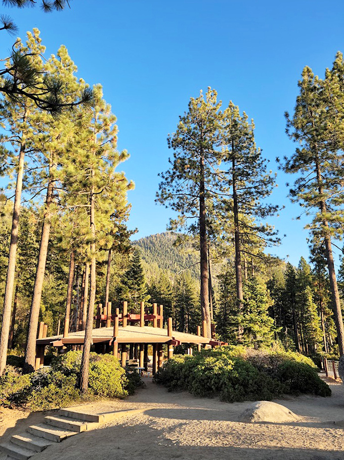 Towering pines reaching for perfect blue skies. Like a Bob Ross painting come to life, just with fewer "happy little clouds."