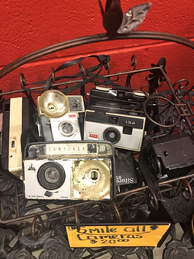 "Smile! All Cameras $20." These vintage shutterbugs once captured family memories and now wait for their second act.