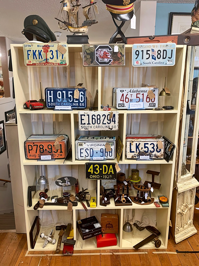License plates from every era create a rainbow of road trip nostalgia on these perfectly organized shelves.