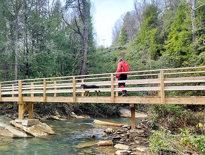 Crossing bridges, making memories. The park's well-maintained trails offer countless opportunities to reconnect with what matters most.