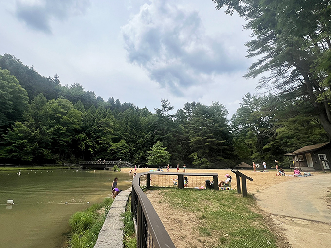 Summer's greatest magic trick: transforming ordinary families into water-loving adventurers at Clear Creek's swimming beach. No ocean necessary.
