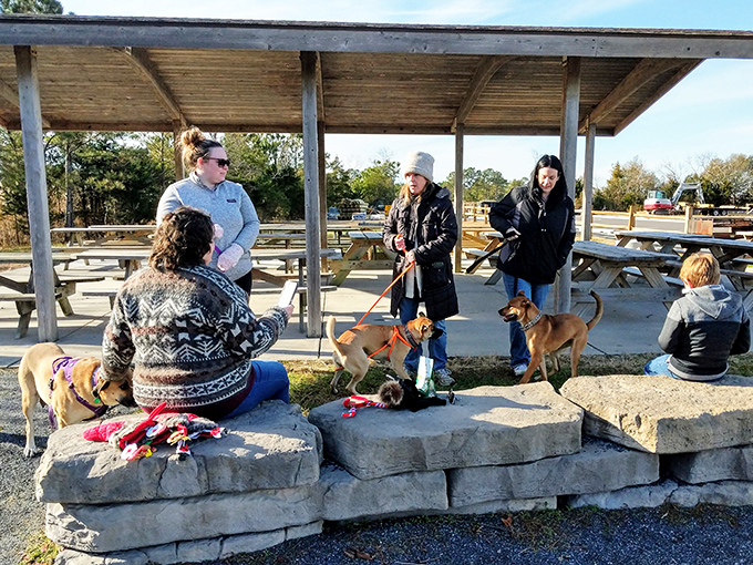 A gathering spot where four-legged friends and their humans create community under rustic shelters&mdash;proof that the best social networks exist offline.