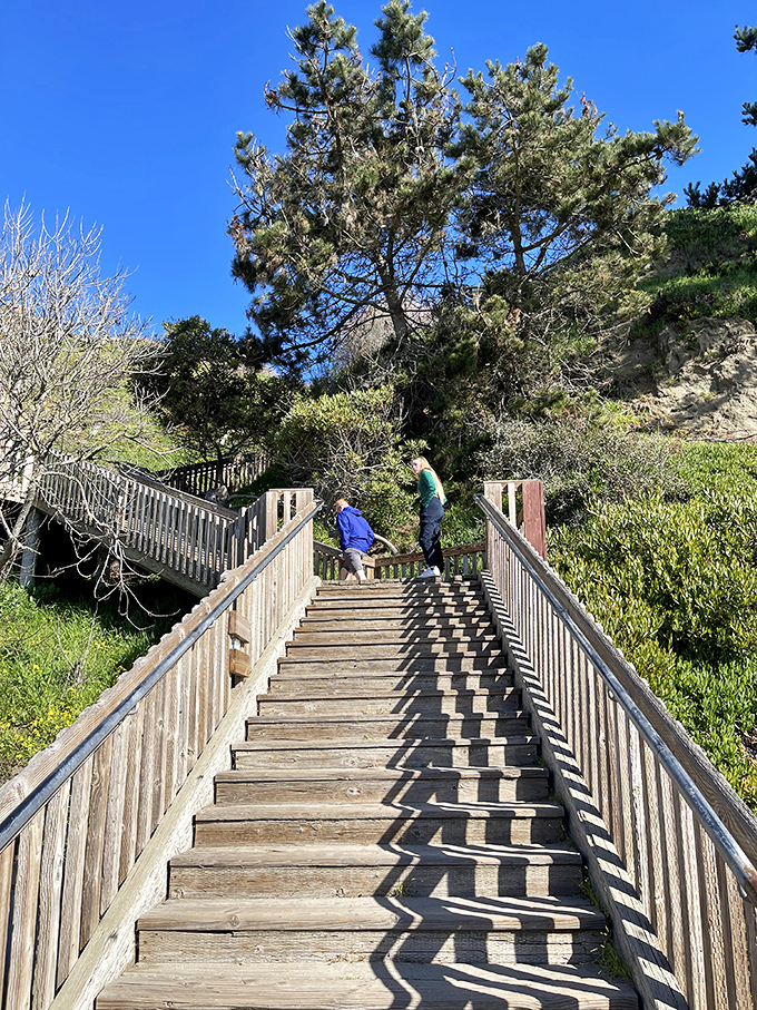 The journey up might leave you breathless, but the panoramic ocean views from Seacliff's bluff trails make every step worthwhile.